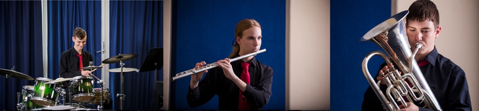 Music Program of Excellence