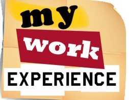 Work Experience